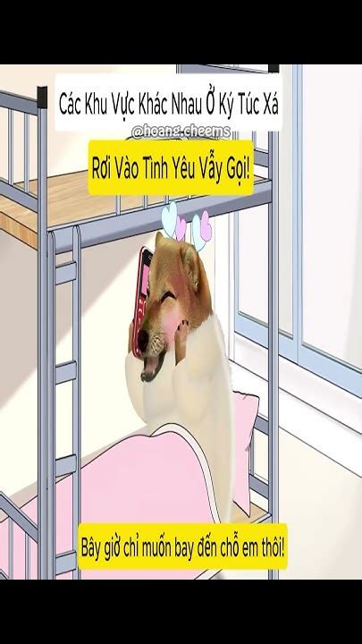 Các Khu Vực Khác Nhau Trong Ký Túc Xá 🤣 Shorts Cheems Funny Youtube