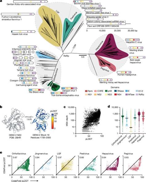 Map Of Flaviviridae Genome Healthy Builds Inc Posted On The Topic Linkedin