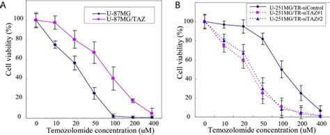 Taz Confers Resistance Of Glioma Cells To Temozolomide Overexpression