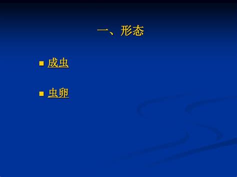 华支睾吸虫肝吸虫 文档之家