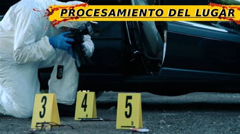 Práctica de Criminalística Así se debe procesar una escena de crimen