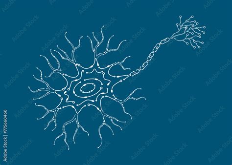 Human Nerve Cell Organ Electronic Circuit Board Outline Model Isolated