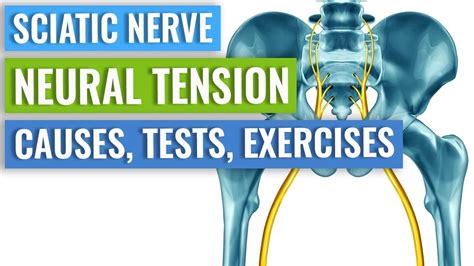 Slump Test Neural Tension