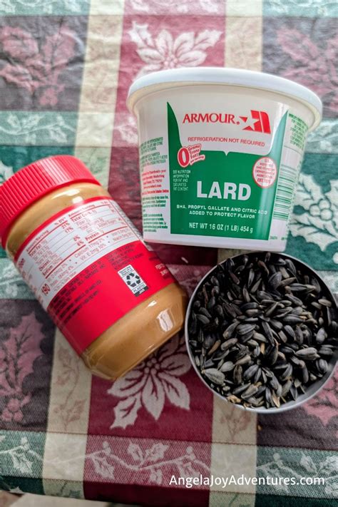 How To Make Your Own Suet Blocks At Home Angela Joy Adventures