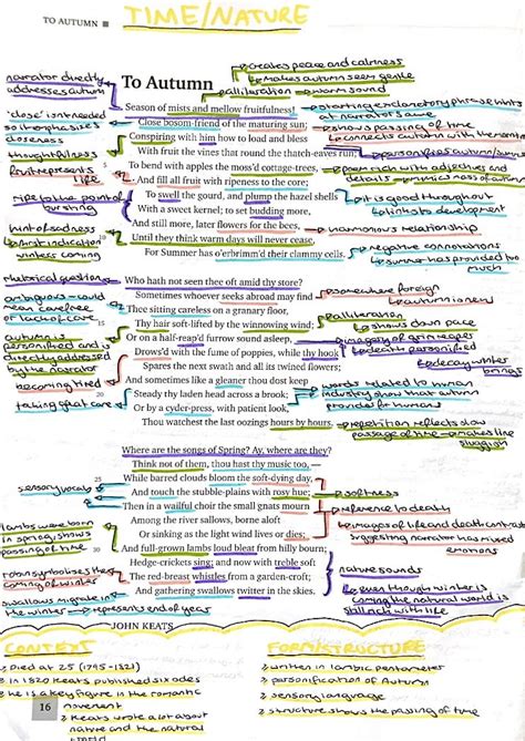 Afternoons Philip Larkin Analysis