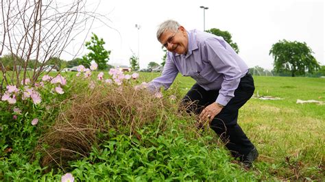Jerry Bartz Observes Wildlife The Brookhaven Courier