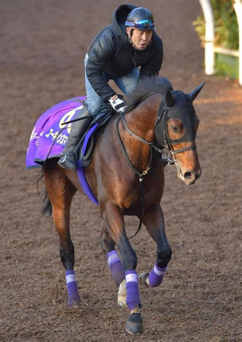 【ジャパンc】馬場状態から浮上するのはこの馬だ競馬・レースデイリースポーツ Online