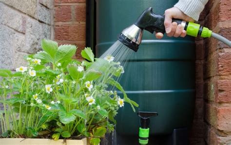 Home Suttons Gardening Grow How