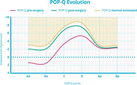Pop Q Evolution Graphic Representation Of The Average Values Of The