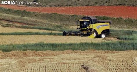 La Cosecha De Cereal Se Reduce Este Año Un 37 En Castilla Y León