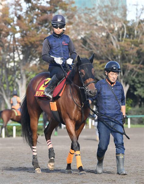 【秋華賞】モリアーナ8番に「末広がりだね」と武藤師、馬は「リラックス」と仕上がりにも太鼓判 競馬 日刊スポーツ
