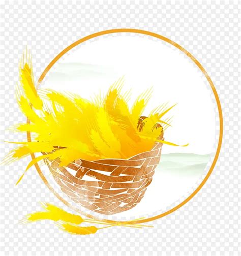 Png Png