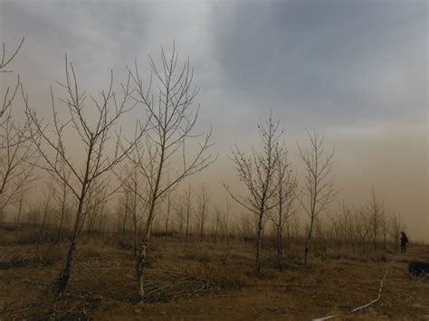 바람이 많은 계절입니다 지난 겨울 눈이 많이 내리지 않았던 Ногоон Ази сүлжээ ТББ