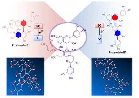 Dentin Biomodification Strategies Renewable Resources And Clinical