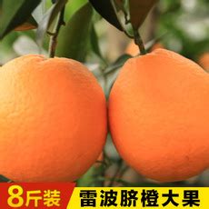 雷波县昌盛脐橙 雷波脐橙官网