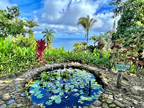 Wheelchair Accessible Maui How To Enjoy 2 Days In Paradise
