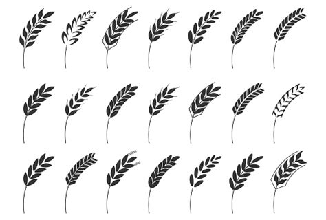 穀物粒尖圖示形狀集農業食品標誌符號向量插圖圖像隔離在白色背景上燕麥乳清大麥黑麥向量圖形及更多人造物件圖片 人造物件 剪裁圖 商品