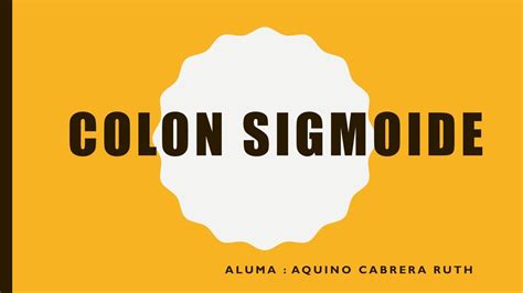 Colon Sigmoide Ruth Aquino Cabrera Udocz