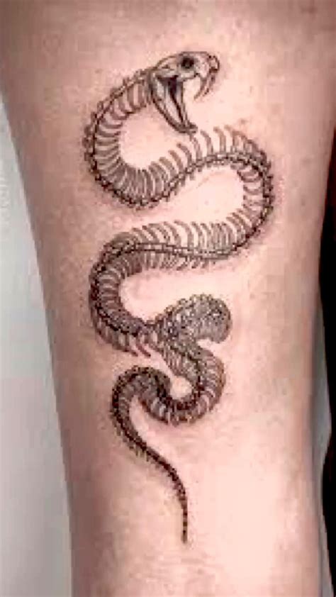 Snake Skeleton Artofit