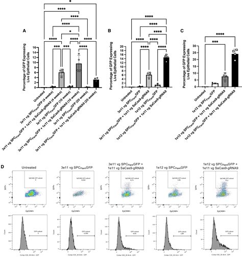 a promoterless aav6 2ff based lung gene editing platform for the