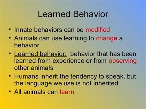 Animal Behavior And Social Relationships
