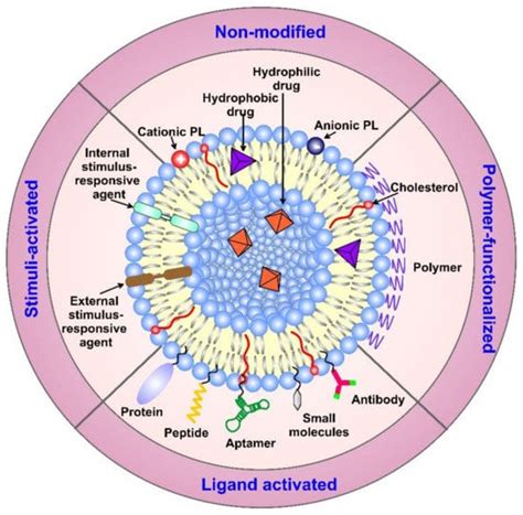Updates On Responsive Drug Delivery Based On Liposome Vehicles For