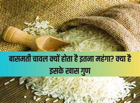 बासमती चावल क्यों होता है इतना महंगा क्या है इसके खास गुण