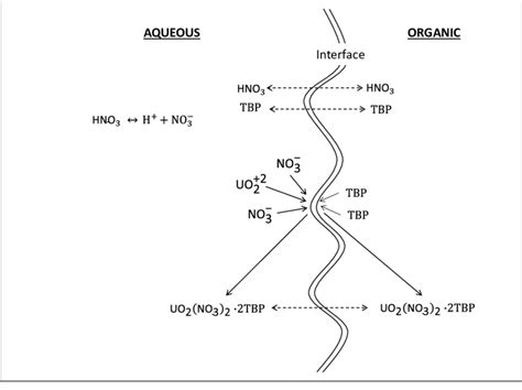 Single Step Complexation Chemical Reaction For Uranium Download