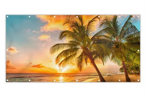 Muchowow Balkonsichtschutz Sonnenuntergang Palme Wolken Meer