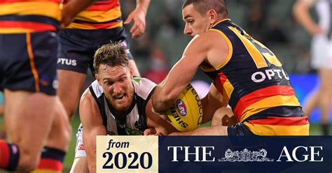 Live Afl Scores Adelaide Crows V Collingwood Magpies