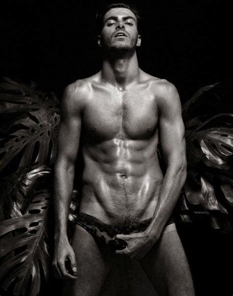 Gui Fedrizzi Lpsg Gui Fedrizzi Lpsg