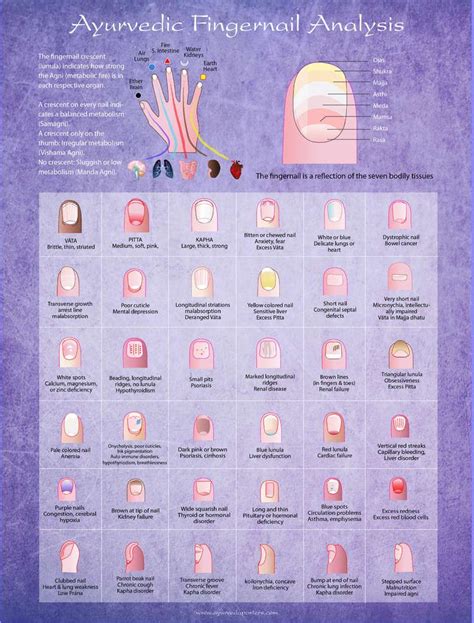 Ayurvedic Fingernail Analysis Poster Fingernail Health Health Signs