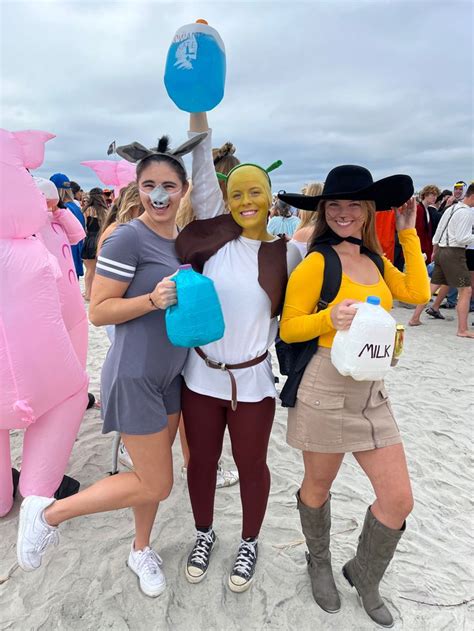 Halloween Costumes Shrek Costume Diy Character Costumes Diy Shrek