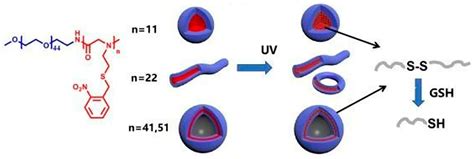 Polymers Free Full Text Stimulus Responsive Polymers Based On Polypeptoid Skeletons