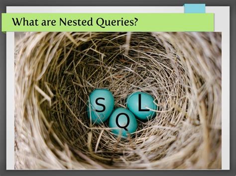 Nested Queries Lecture Pdf