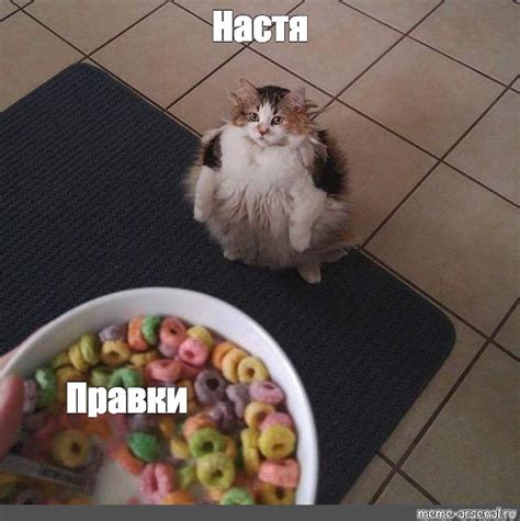Создать мем у меня просто кость пушистая Funny Картинки Meme