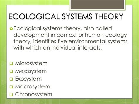 Ecological Systems Theory Examples