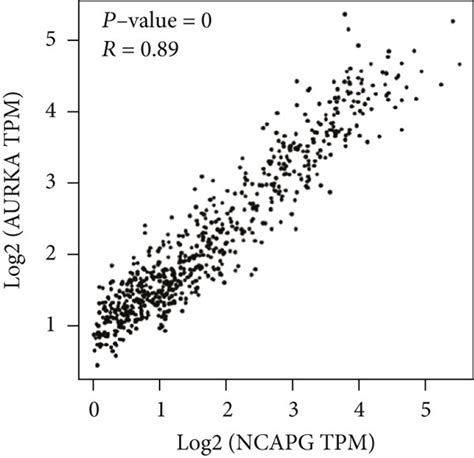 Atac Seq Validation A Identification Of Open Chromatin Loci In 24
