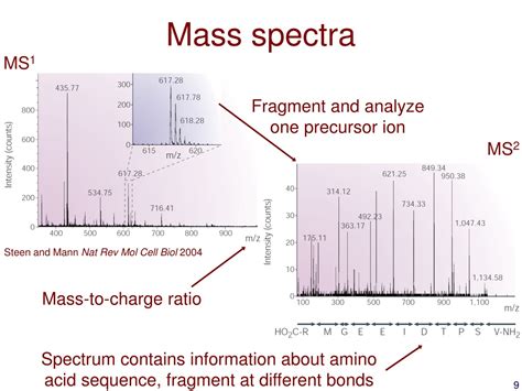 Ppt Mass Spectrometry Based Proteomics Powerpoint Presentation Free
