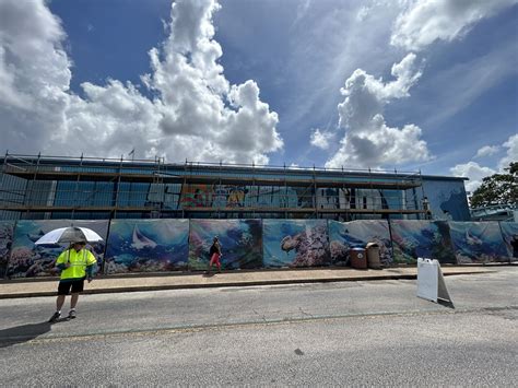 Dewayne Bevil On Twitter Under The Scaffolding A Mural For Seaworld