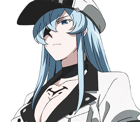 Esdeath Beauty Ice Military Commander Png