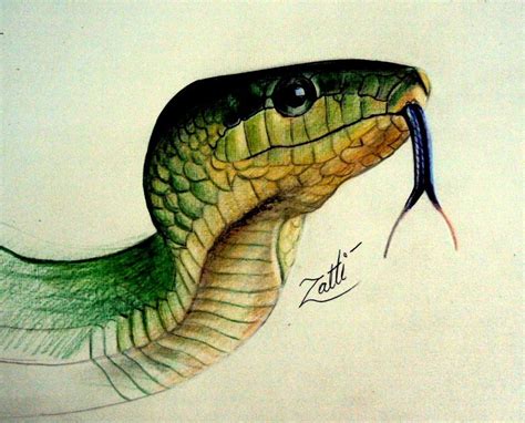 COMO DESENHAR UMA COBRA