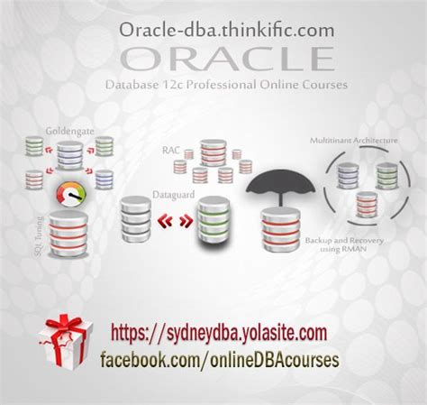 Oracle Dba Courses For Professionals