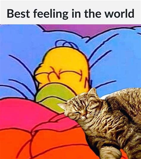 390 Memes Ideas In 2025 Memes Funny Memes Funny Pictures