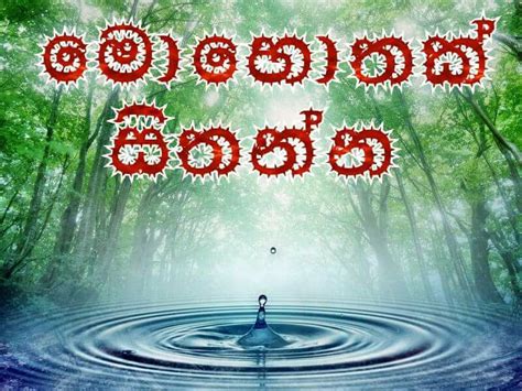 Rain Forest Sri Lanka 🇱🇰 අපේ කාලයේ ජාතික වීරයෙක් රට ජාතියට ආදරේ