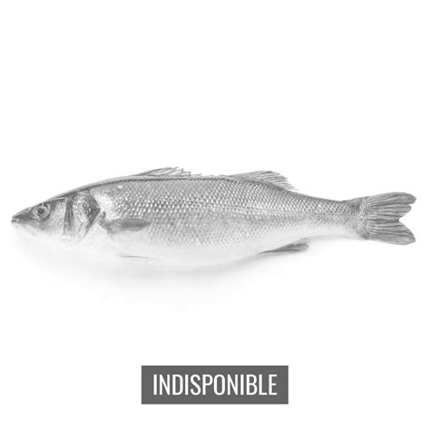 Bar Sauvage Acheter Du Bar Poisson Livraison à Domicile