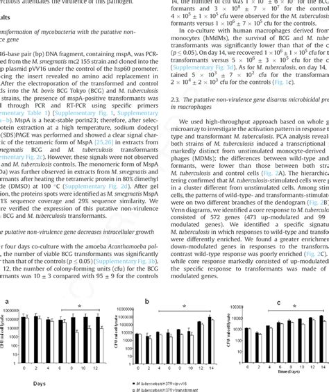 Intracellular Fate Of M Tuberculosis H37rv In Different Eukaryotic