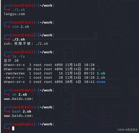 05 4 shell脚本（1）脚本创建执行与变量使用 shell 创建sh文件 csdn博客