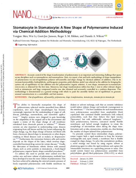 Pdf Stomatocyte In Stomatocyte A New Shape Of Polymersome Induced