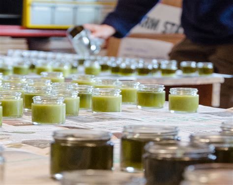 Youth Programming Winter Farm Arts Threefold Educational Foundation